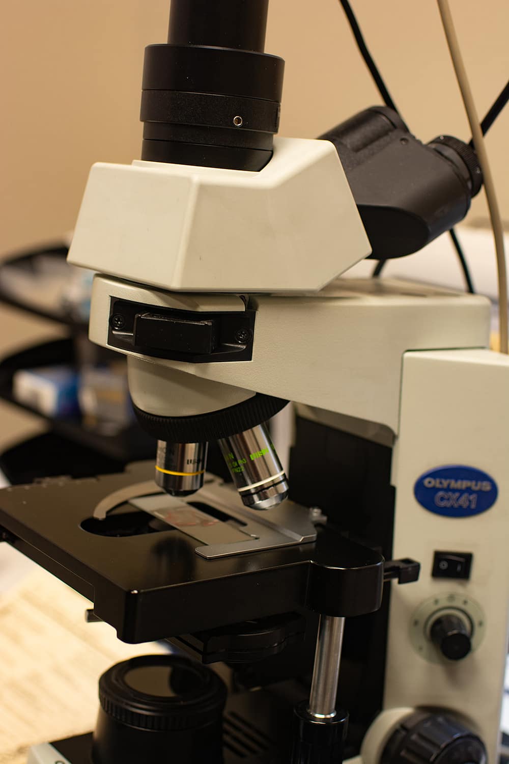 Dr. Thomas Brewer – Nutritional Blood Microscopy